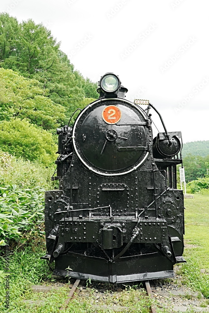 4110 type 10-wheel coupled locomotive, Bibai Railway, Tomei Station ...