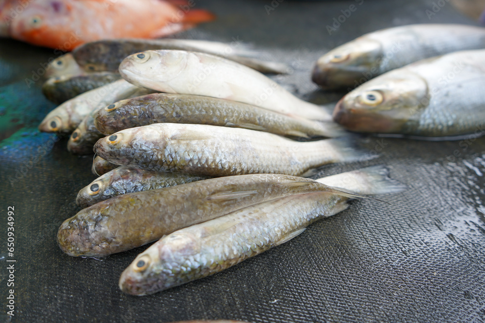 Freshwater fish are sold in the market. One example is milkfish and ...