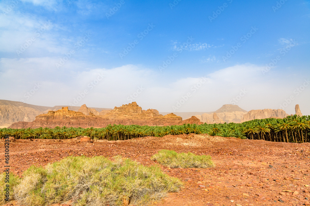 The ancient city of Dadan in AlUla, Saudi Arabia. Stock Photo | Adobe Stock