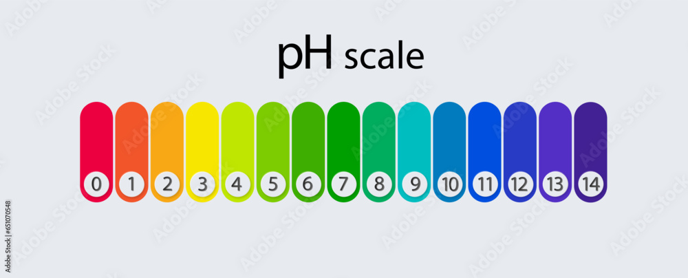 pH scale chart for acid and alkaline solutions. Acid-base balance ...
