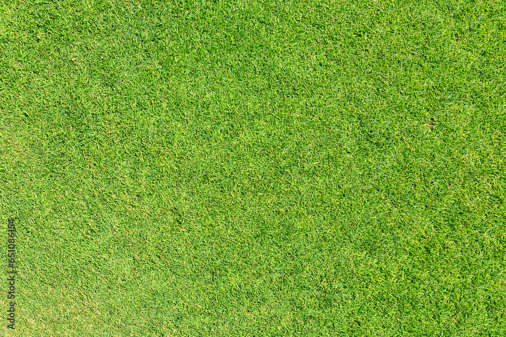 Artificial grass football field background Football field surface ...