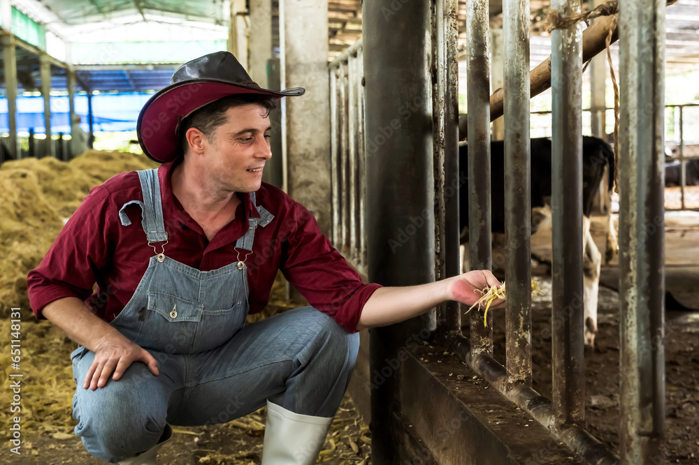 Cowman in cowboy hat working in cattle farm Stock Photo | Adobe Stock