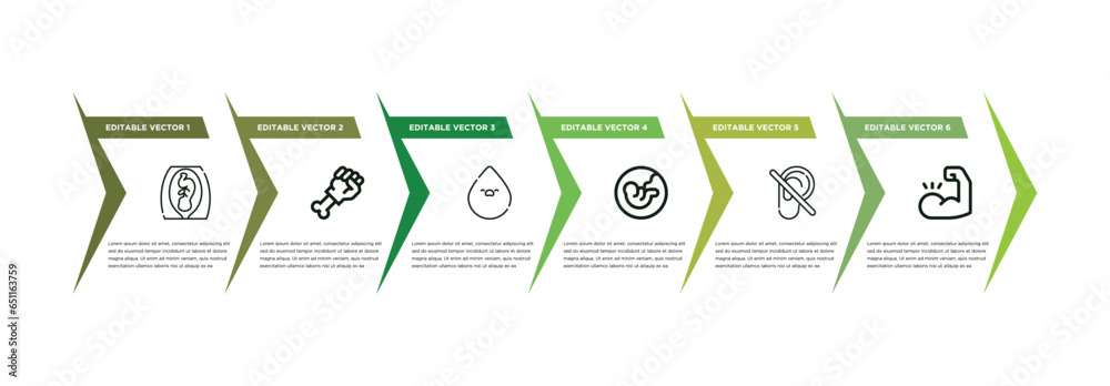 fetus in an uterus, human hand bones, blood supply system, human uterus ...