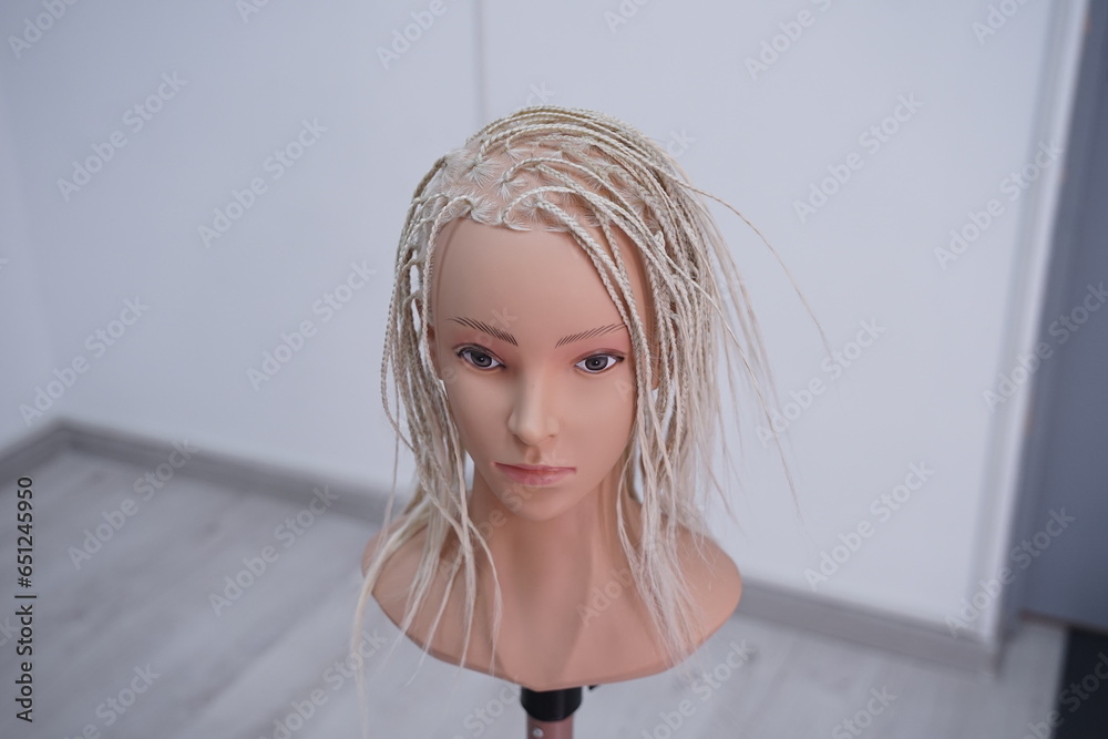 marking a mannequin's head into zones, hairdressing, teaching students ...