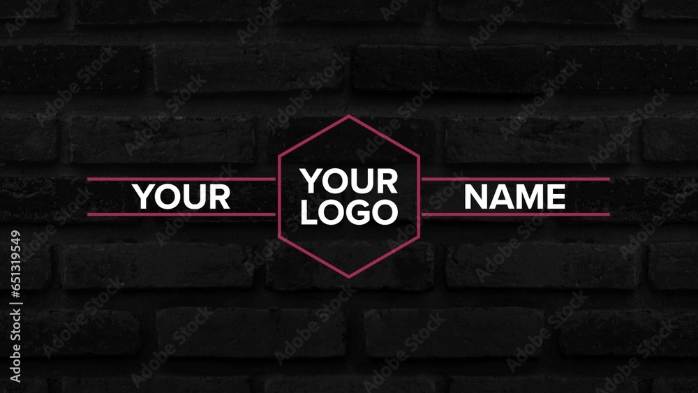 Quick and Modern Logo and Name Reveal for Lower Thirds Stock Template ...