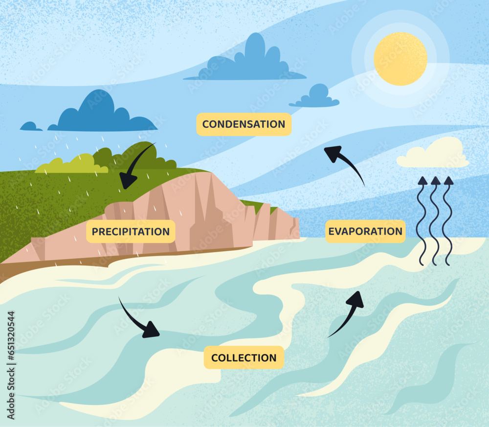Water cycle concept. Infographics and educational materials. Biology ...
