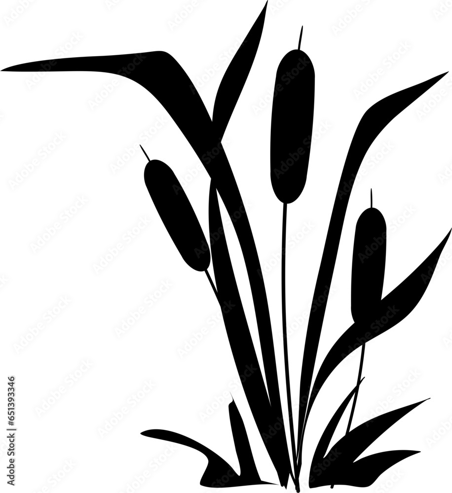 Vetor de Pond reed silhouette, reed clipart, grass silhouette do Stock ...