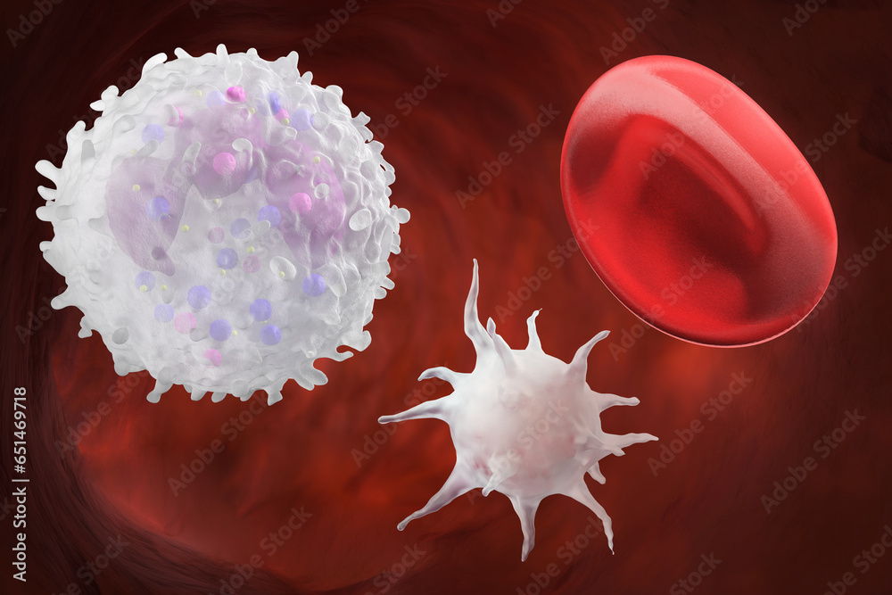Blood consists of red blood cells, white blood cells and platelets. 3d ...