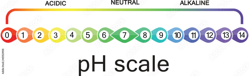 pH scale infographic, vector illustration Stock Vector | Adobe Stock