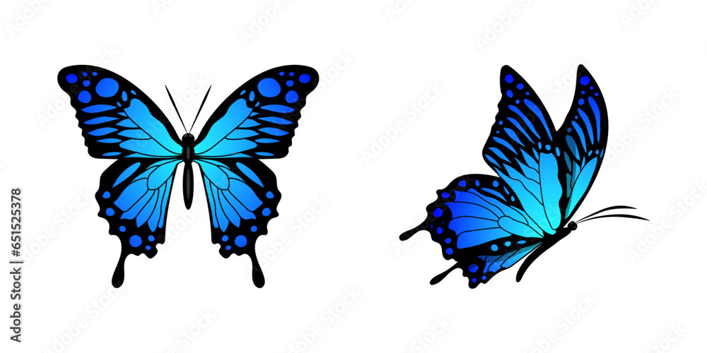 Butterfly blue Set silhouette fly side view Monarch Butterfly design ...