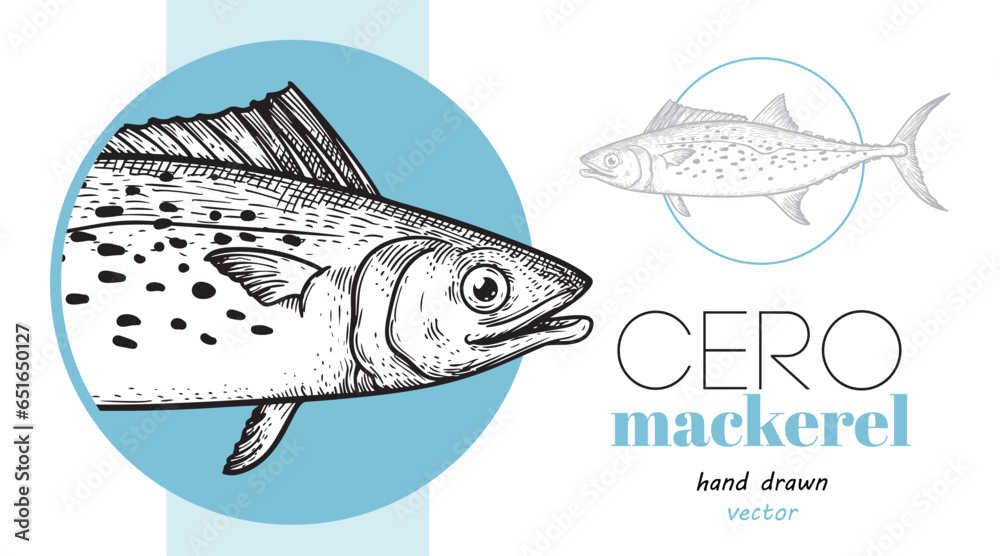 Hand drawn sketch style Cero Mackerel design template. Fish restaurant ...