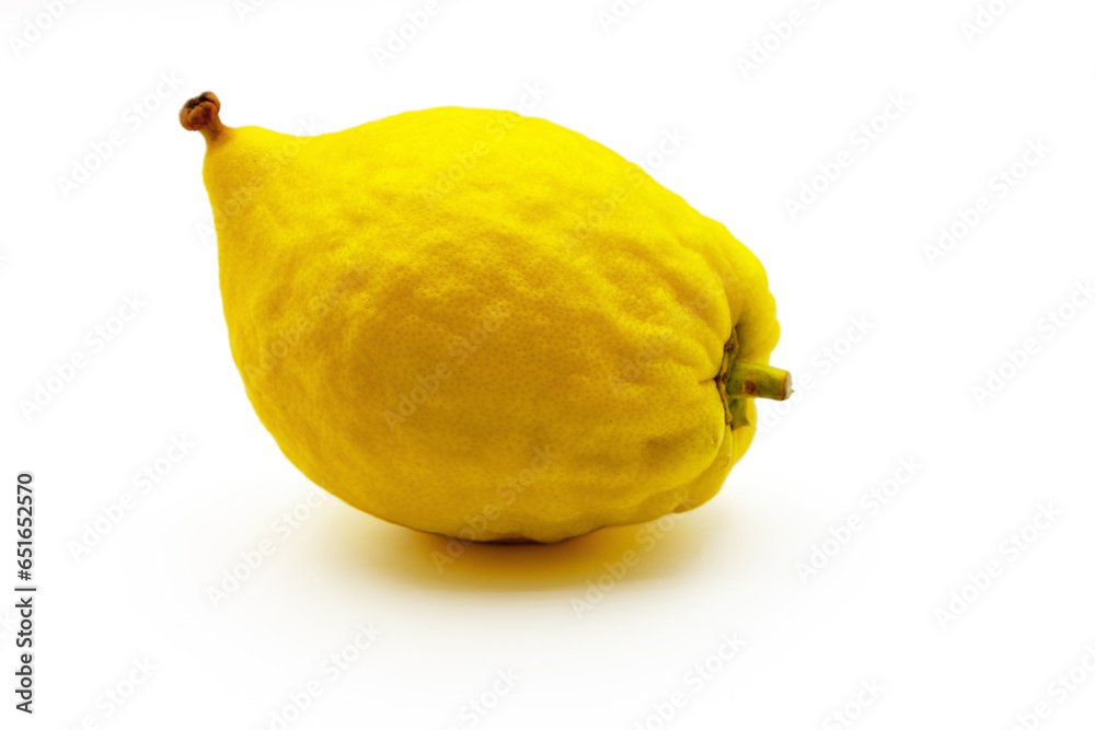 Sukkoth festival. Jewish holiday of Sukkot. Traditional symbols (The ...