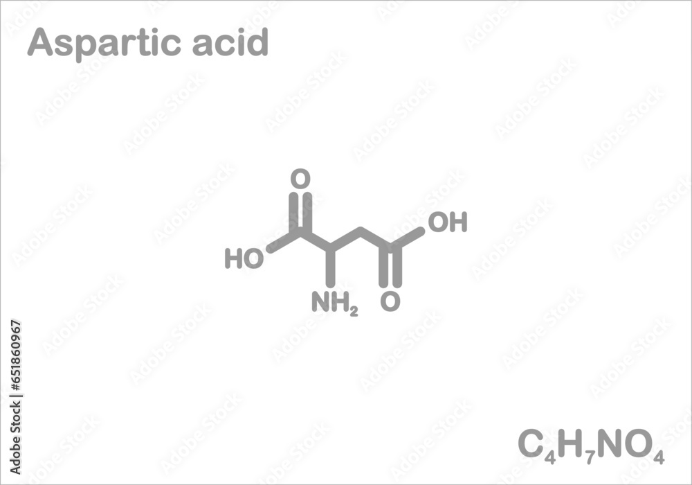 Aspartic acid. Simplified structural formula. Stock Vector | Adobe Stock