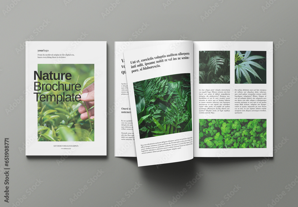 Nature Portfolio Layout Template Stock Template | Adobe Stock