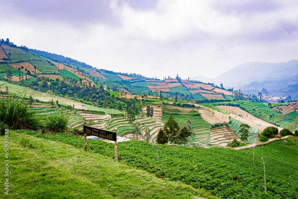 Terraces of farmer's plantation land on Mount Prau, Wonosobo which form ...