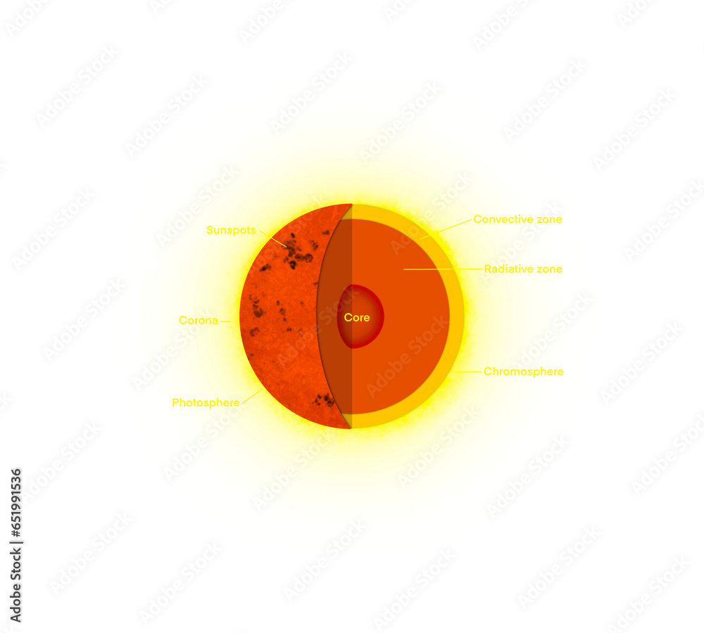 Anatomy of the Sun, The sun is basically a giant ball of gas and plasma ...