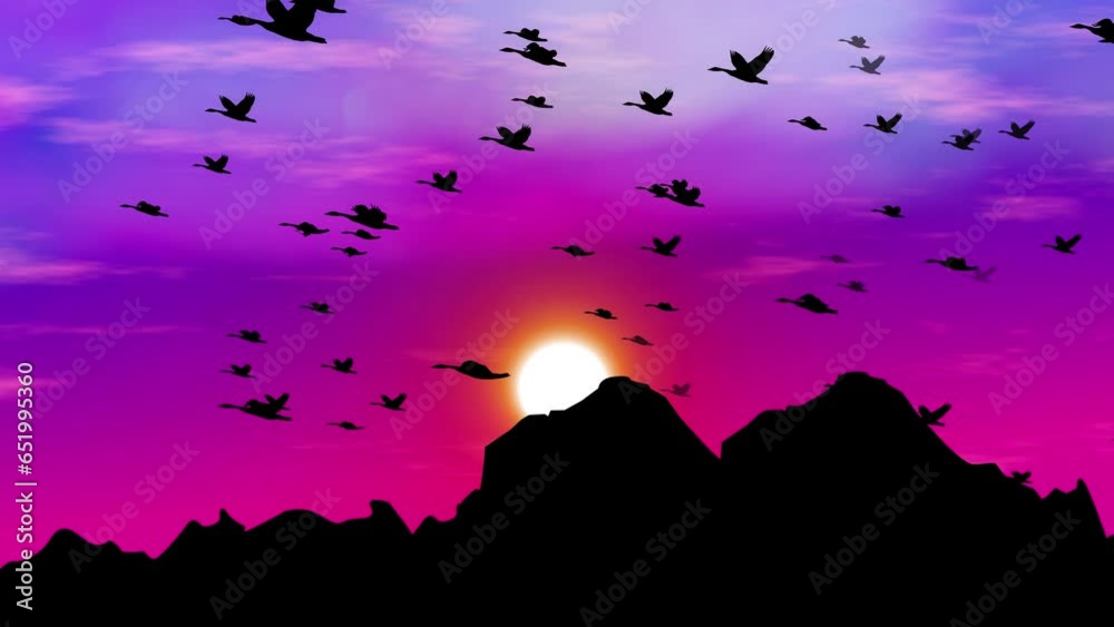 Vidéo Stock Birds Flying With Sun set Time View Cartoon Animation, 2d ...