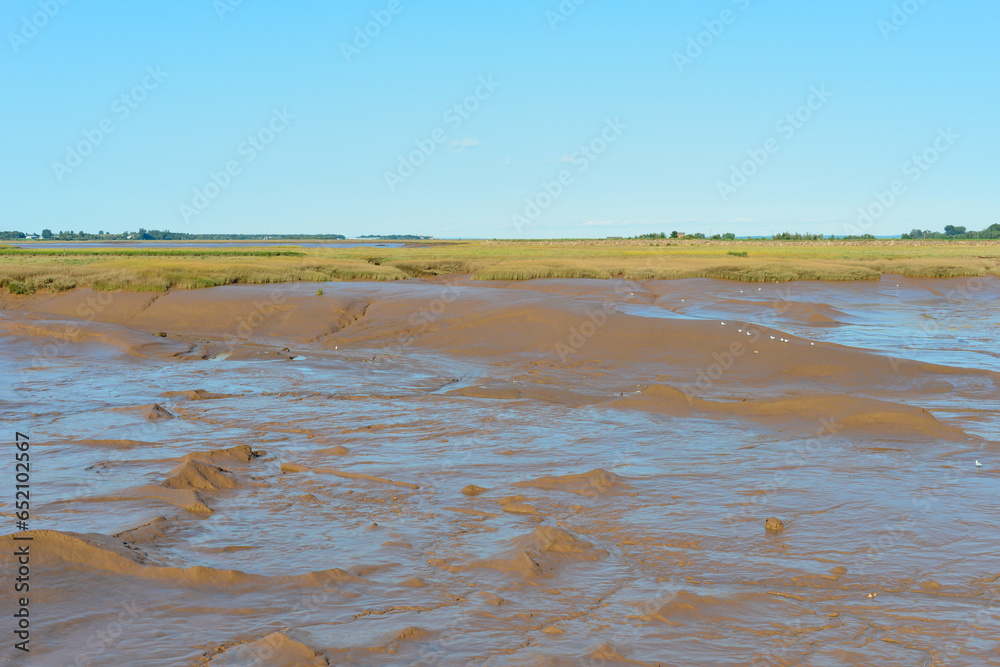 The Bay of Fundy seafloor is covered in red sandy mud. The ground has a ...