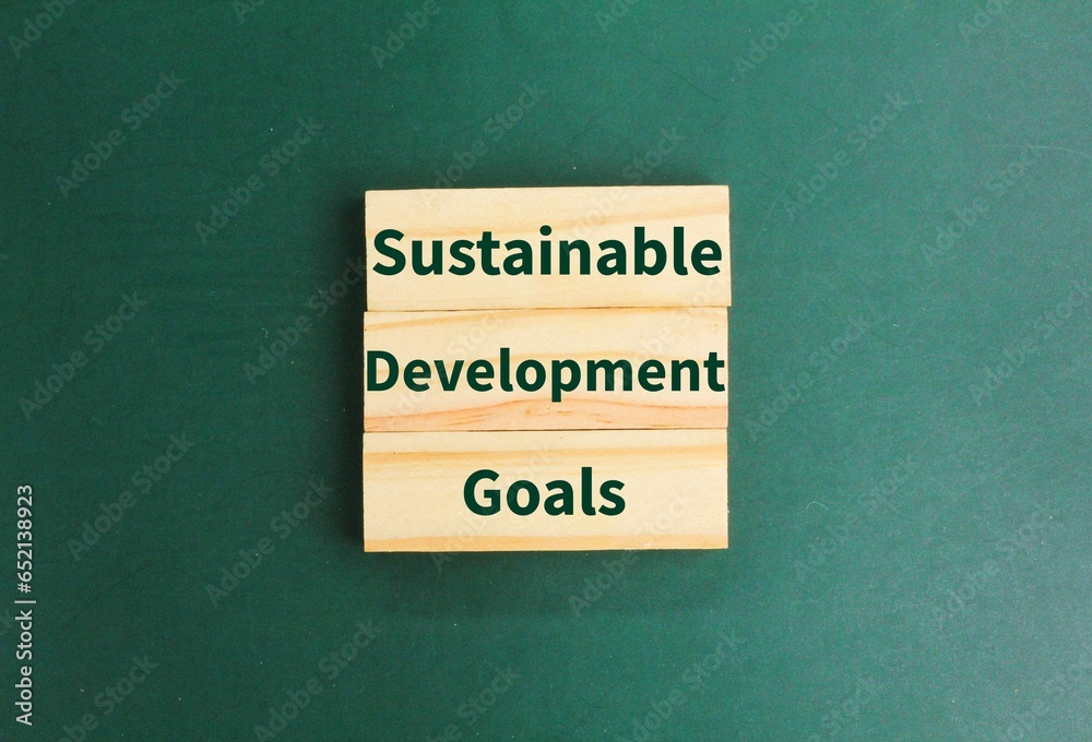 wooden arrangement with the words Sustainable Development Goals. SDGs ...