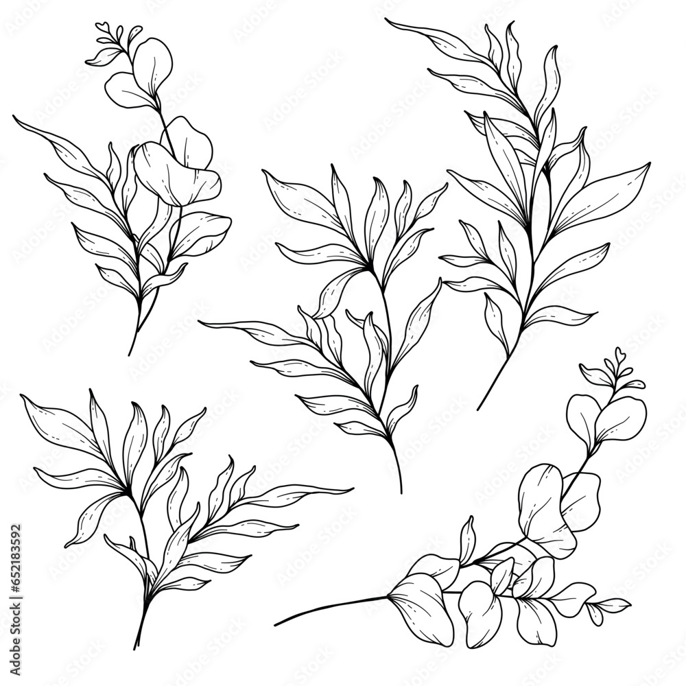 Eucalyptus Greenery Line Art, Fine Line Leaves Hand Drawn Illustration ...