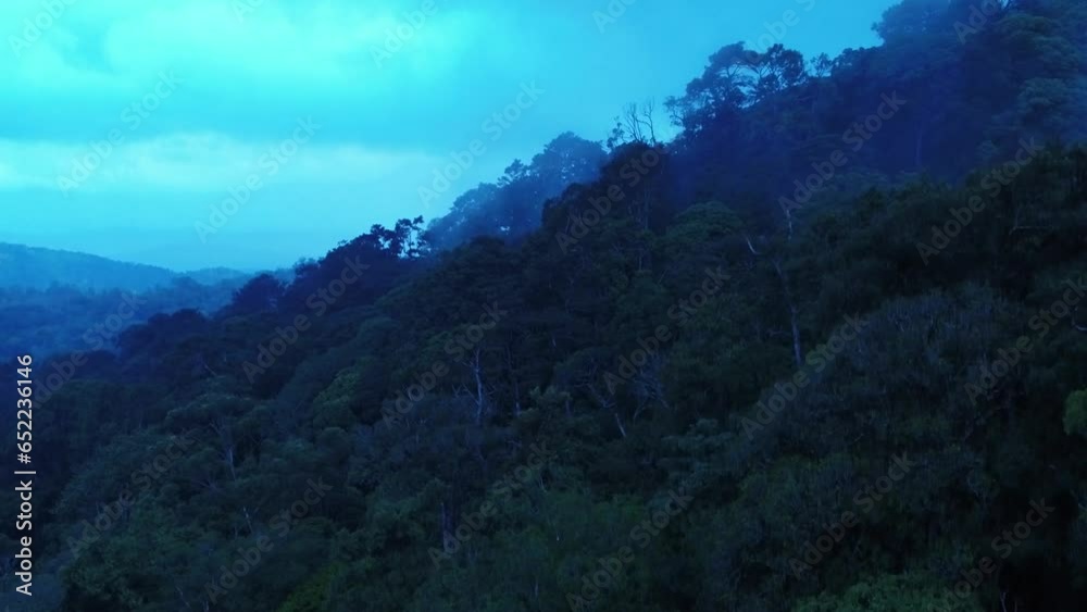 Experience the enchanting beauty of Kerala Forest Fog Night with this ...