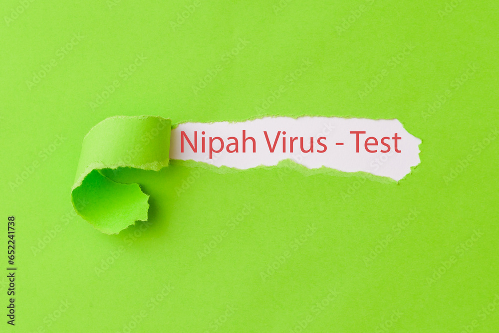 Message Nipah Virus Test.Torn craft paper texture background. Nipah ...