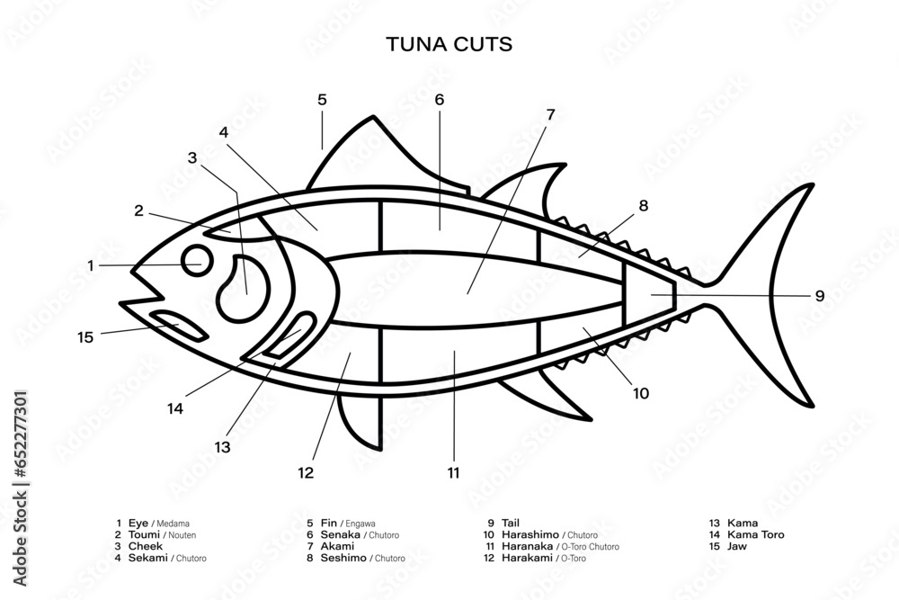 Tuna Cuts black and white line diagram. Parts of tuna. Japanese style ...