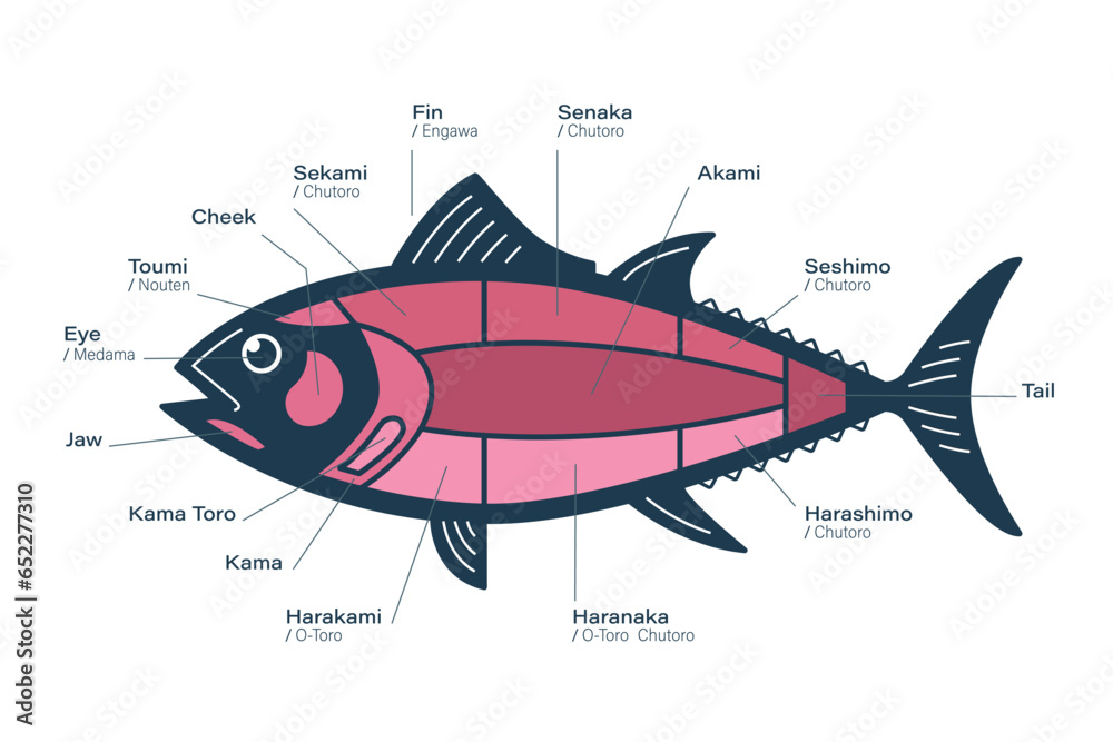 Tuna Cuts diagram. Parts of tuna. Japanese style Stock Vector | Adobe Stock