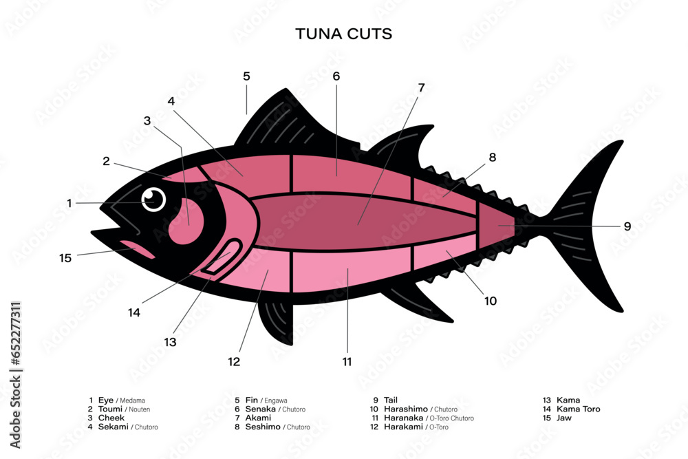 Tuna Cuts diagram. Parts of tuna. Japanese style Stock Vector | Adobe Stock