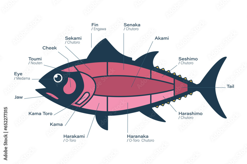 Tuna Cuts diagram. Parts of tuna. Japanese style Stock Vector | Adobe Stock