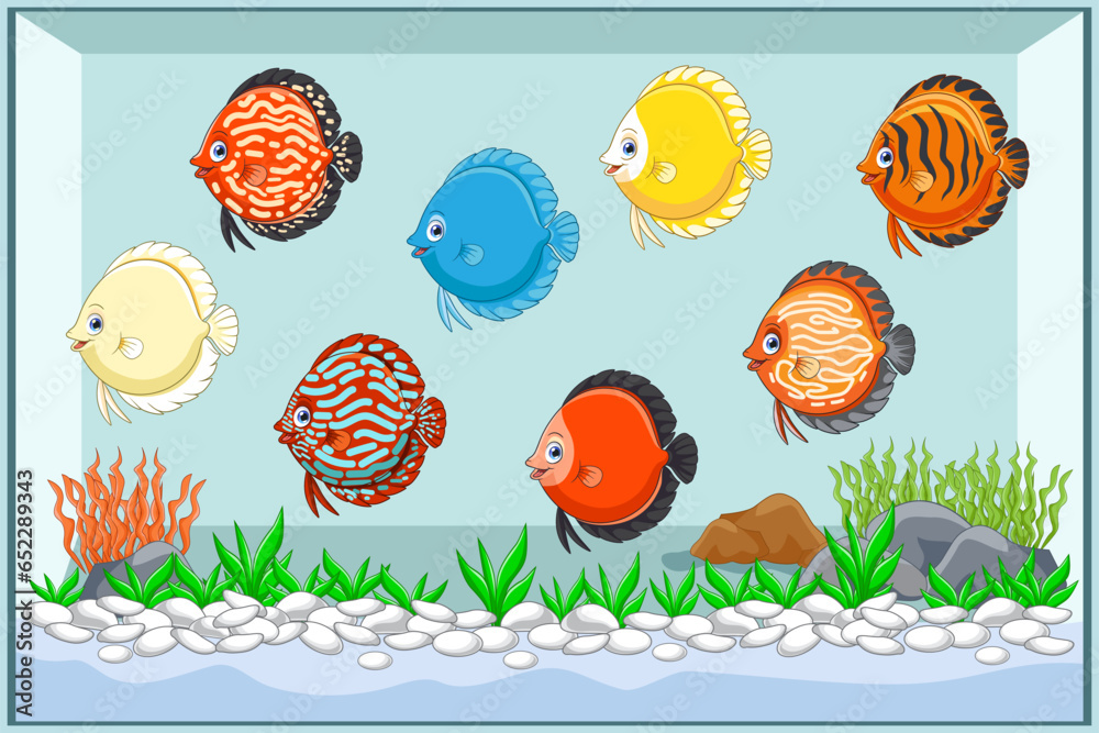 Cartoon discus fish swimming in aquarium Stock Vector | Adobe Stock