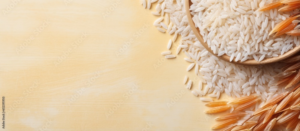 Basmati rice grain up close isolated pastel background Copy space Stock ...