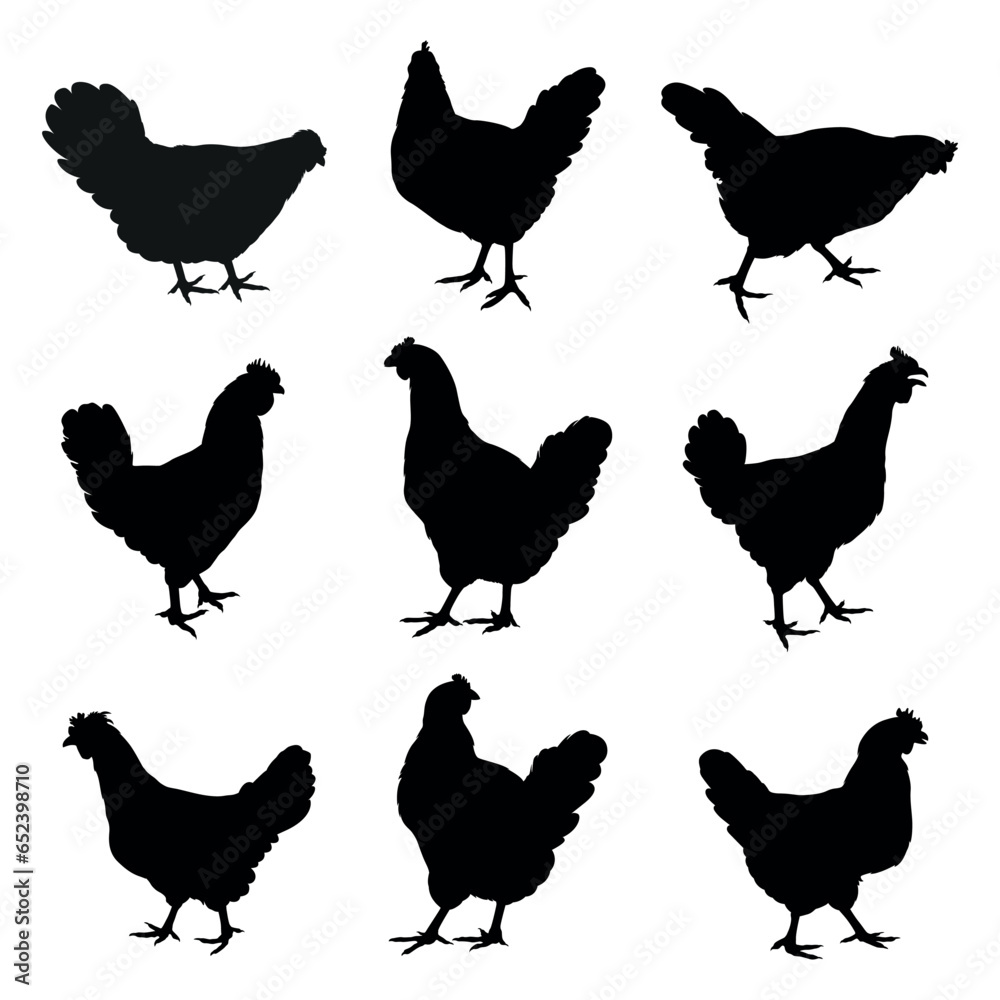 Hen chicken silhouette. Chicken silhouettes walking, eating. Stock ...