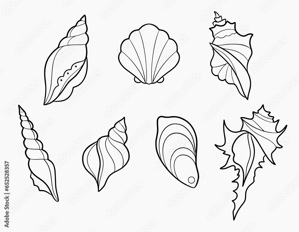 Sea shells black and white simple outline line art vector SVG Stock ...