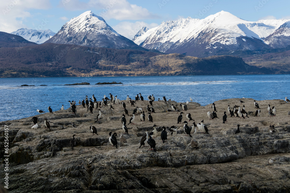 Experience the enchanting wonder of the Beagle Channel in Ushuaia, a ...