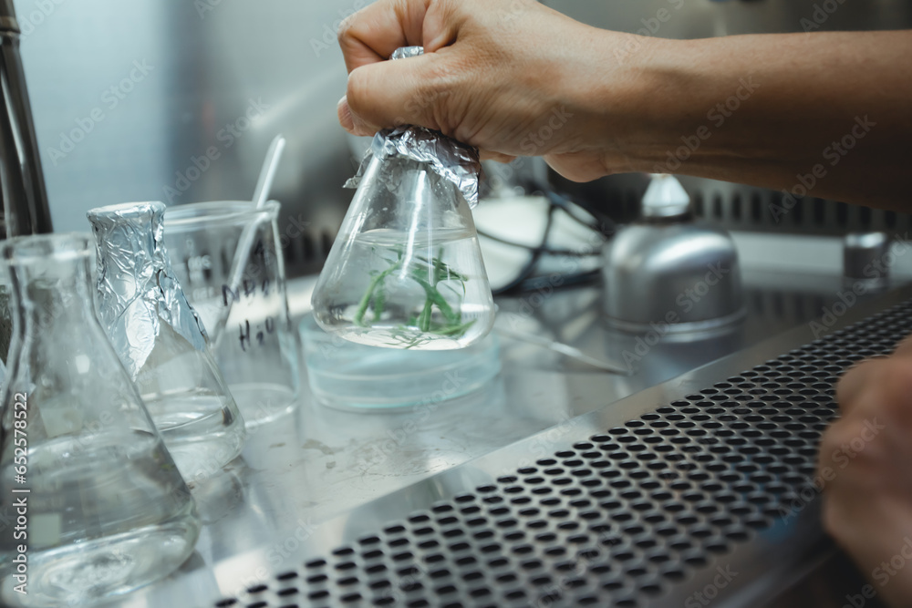Scientists are conducting serious research into the development of ...