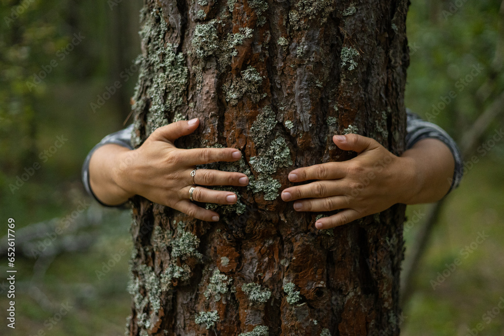 Save the planet. Hands gently hug the tree trunk, protecting it from ...