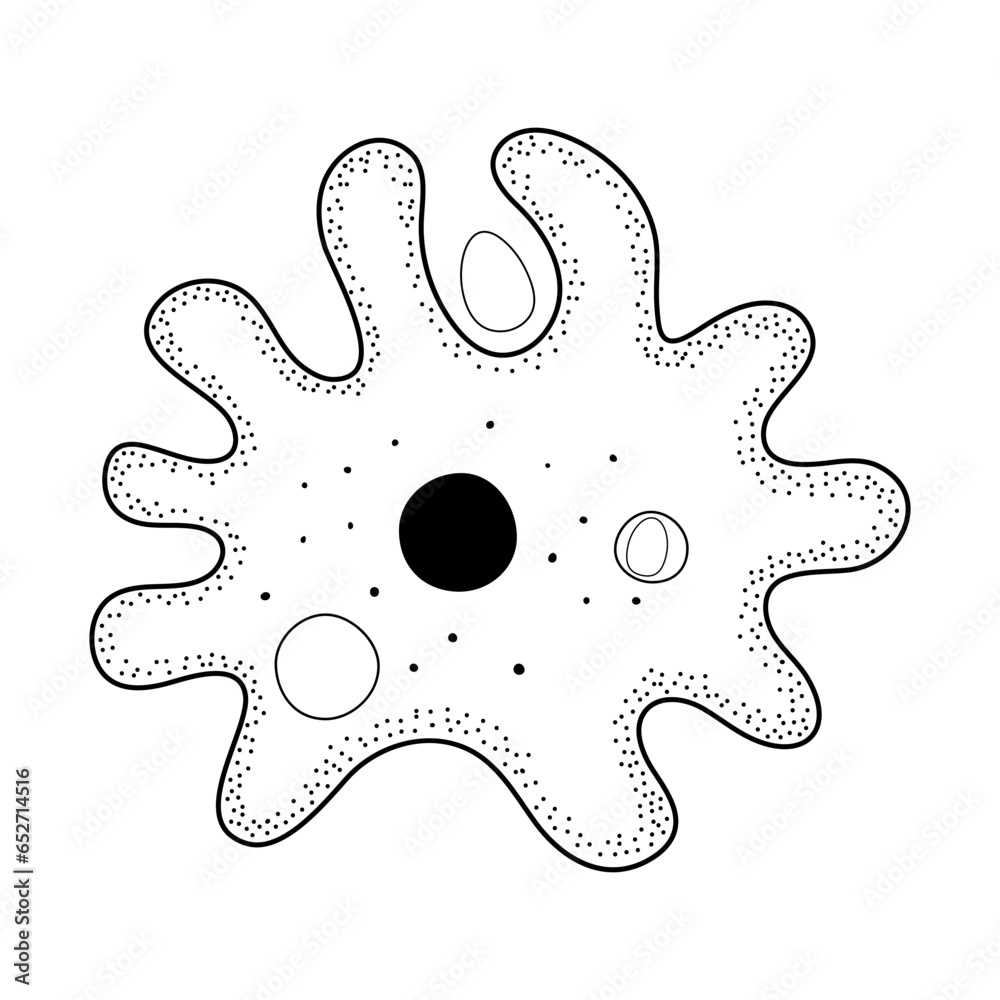 Amoeba on a white background. Stock Vector | Adobe Stock