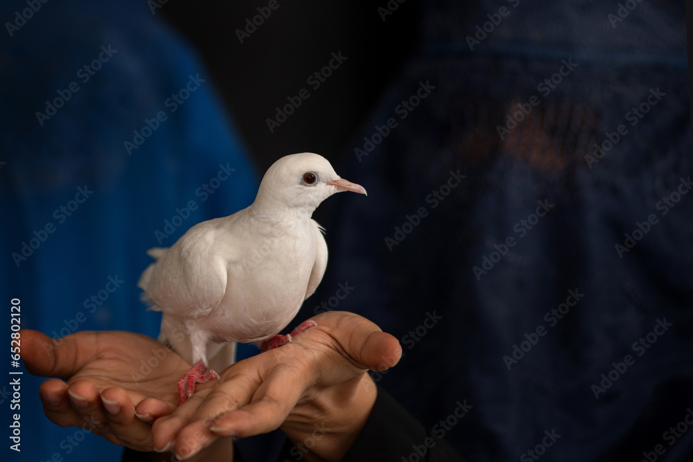 Two Muslim women in traditional Burqa or Burka tradition cloths in ...