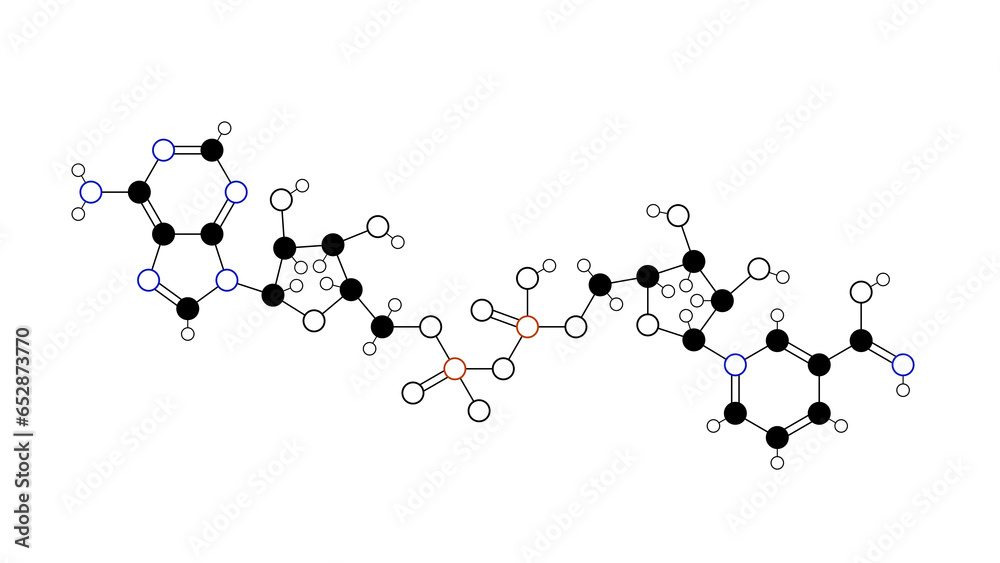 nicotinamide adenine dinucleotide molecule, structural chemical formula, ball-and-stick model ...