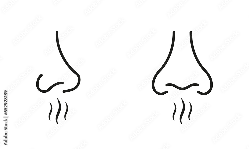 Human Nose Smells Linear Symbol Collection. Nasal Odor Sniff Pictogram ...