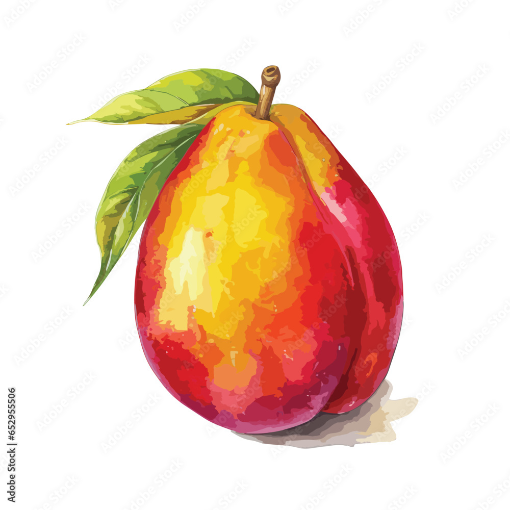 Hand drawn watercolor painting on white background. Vector illustration ...