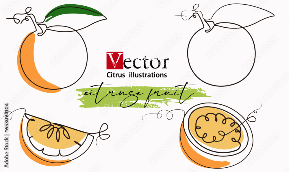 orange fruit continuous line poster, illustration of a split orange ...