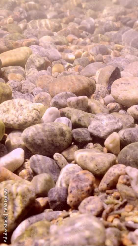 Vertical video, Coastal underwater seascape with pebble bottom in sun ...