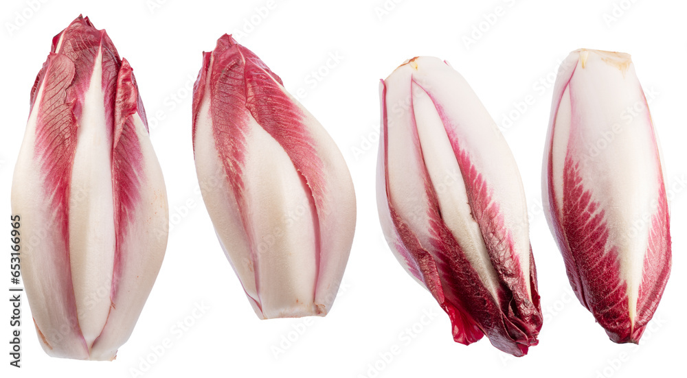 Collection of four red endive heads on white background. File contains ...