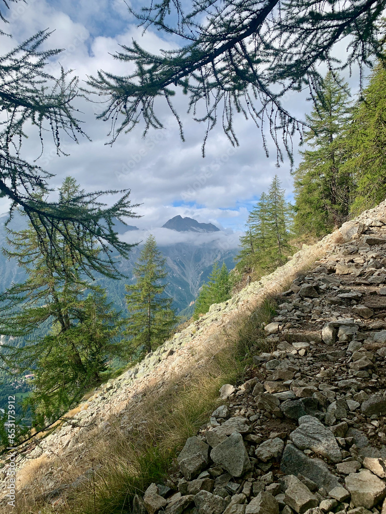 Sentier forestier à Courmayeur sur le circuit du TMB Stock Photo ...