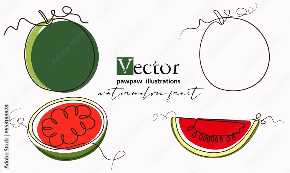 Watermelon vector sketch, illustration of a split watermelon,continuous ...