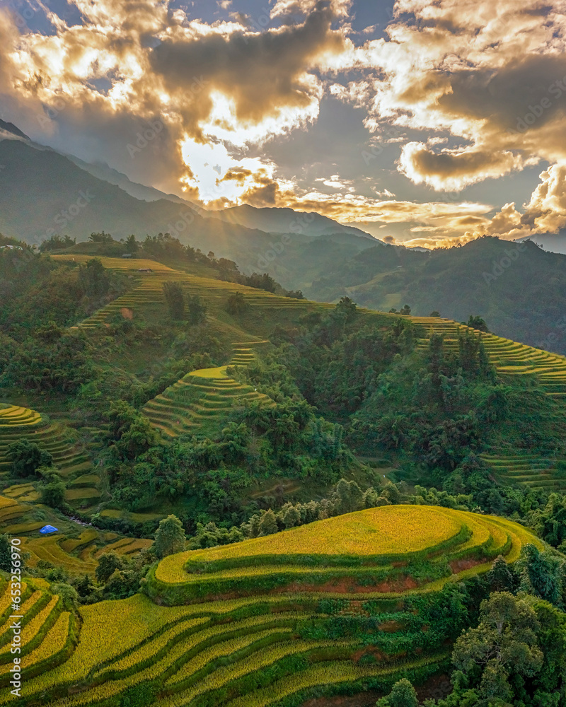 Aerial view of rice field or rice terraces , Sapa, Vietnam. Y Linh Ho ...