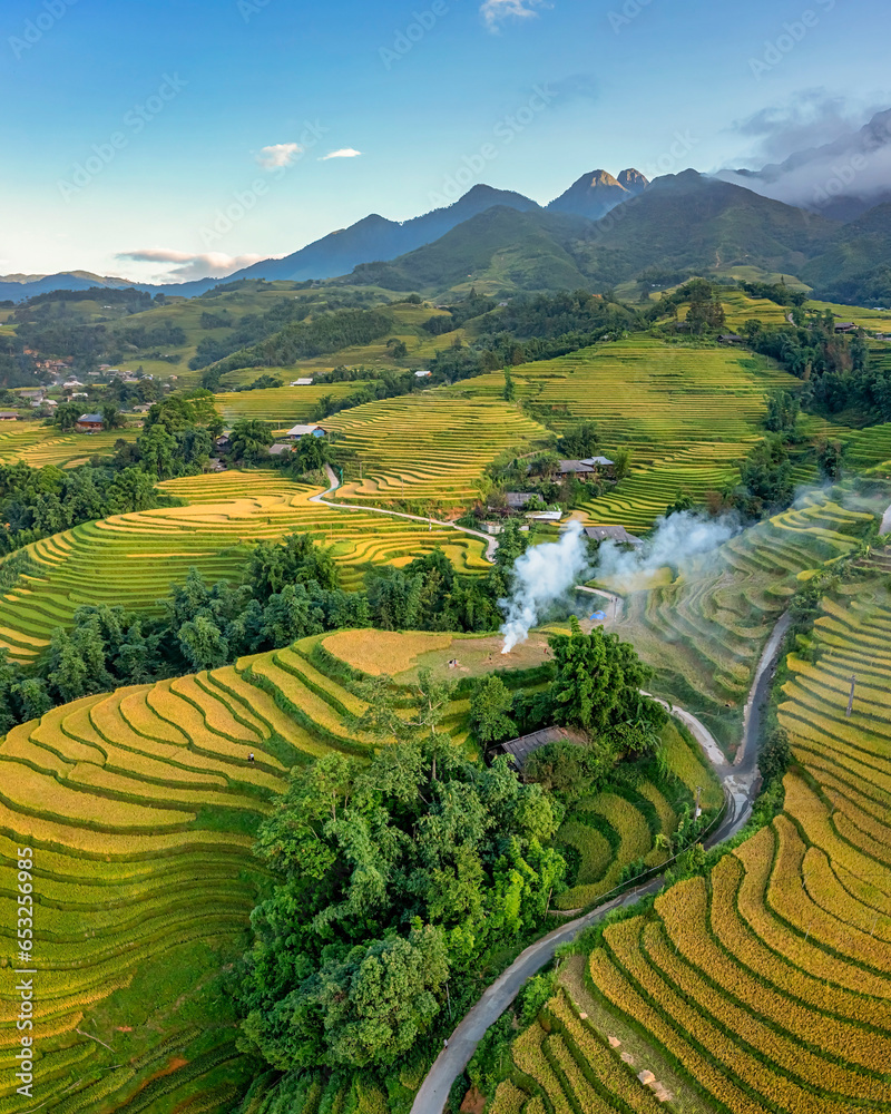 Aerial view of rice field or rice terraces , Sapa, Vietnam. Y Linh Ho ...