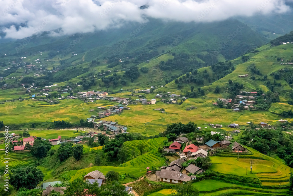 Aerial view of rice field or rice terraces , Sapa, Vietnam. Lao Chai ...